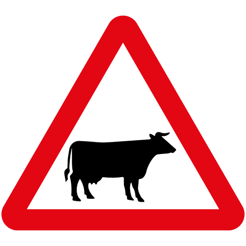 Cattle In Road Ahead Sign – Ref: diag 548 – Safety Sign Warehouse